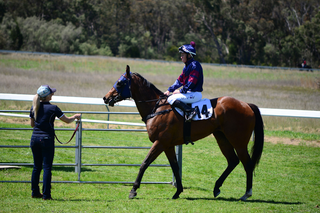 Wine Racing Stanthorpe - Home