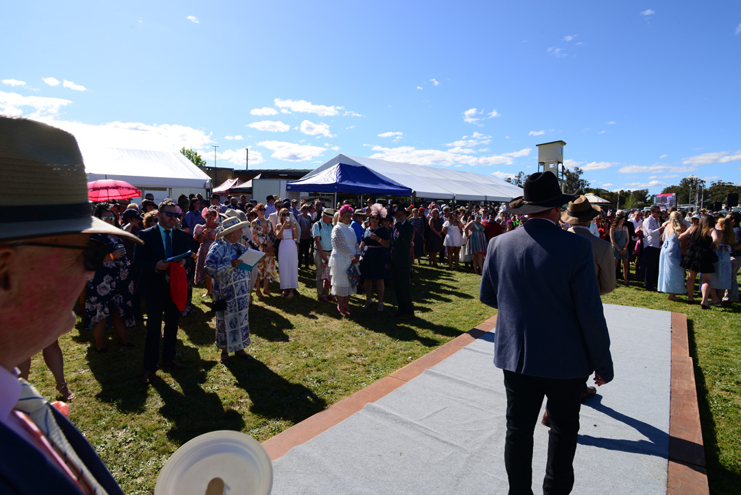 Wine Racing Stanthorpe - Home